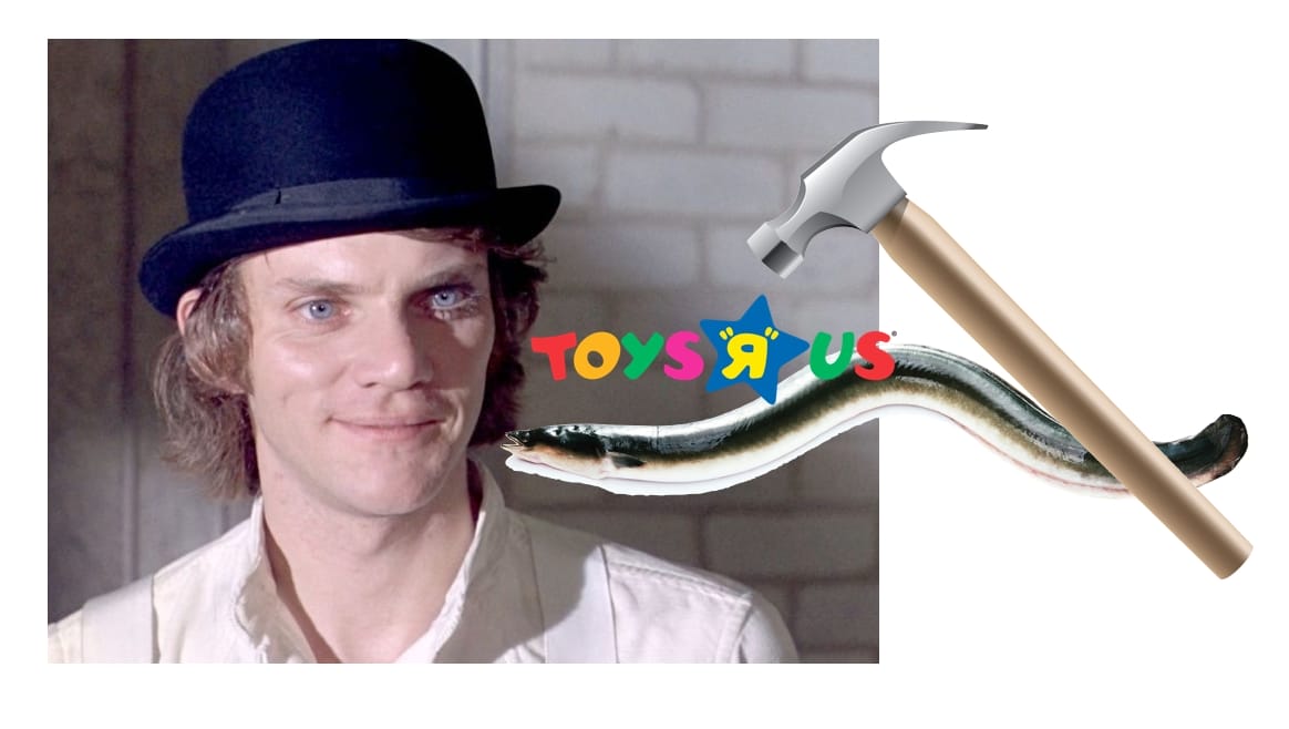 How to Memorize Anatomy with a Memory Palace