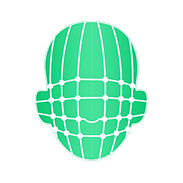 Magnetic Memory Method Home Page