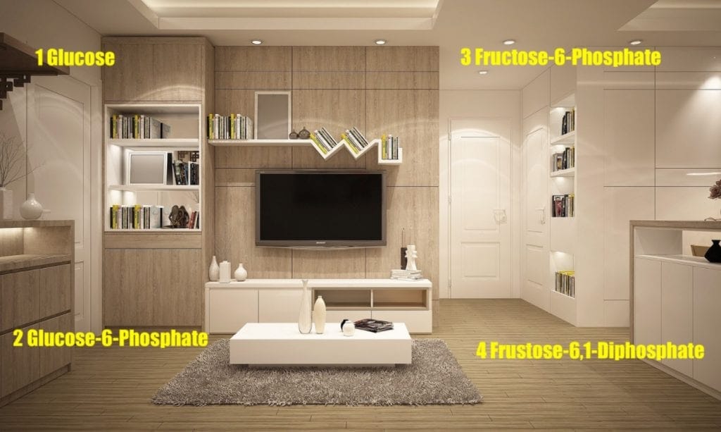 The Glycolysis Mnemonic Strategy That Helps You Remember Fast