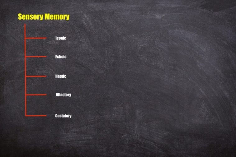 The 3 Major Types Memory And Every Subtype: A Complete Guide
