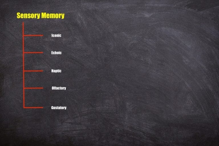 The 3 Major Types Memory And Every Subtype: A Complete Guide