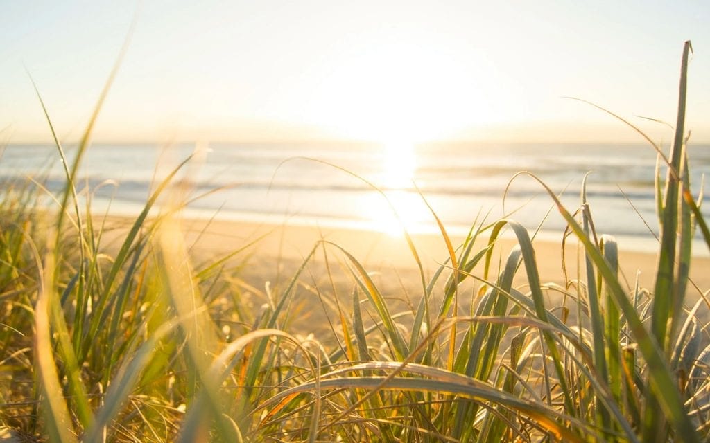 The 3 Major Types Memory And Every Subtype: A Complete Guide