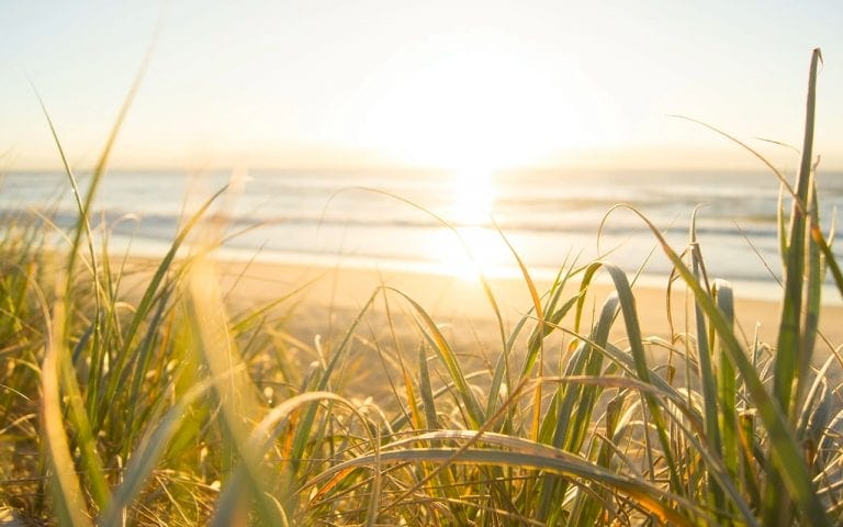 The 3 Major Types Memory And Every Subtype: A Complete Guide