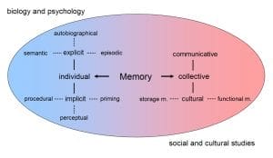 The 3 Major Types Memory And Every Subtype: A Complete Guide