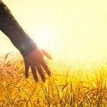 10 Types of Synesthesia (Examples, Causes, and Symptoms)