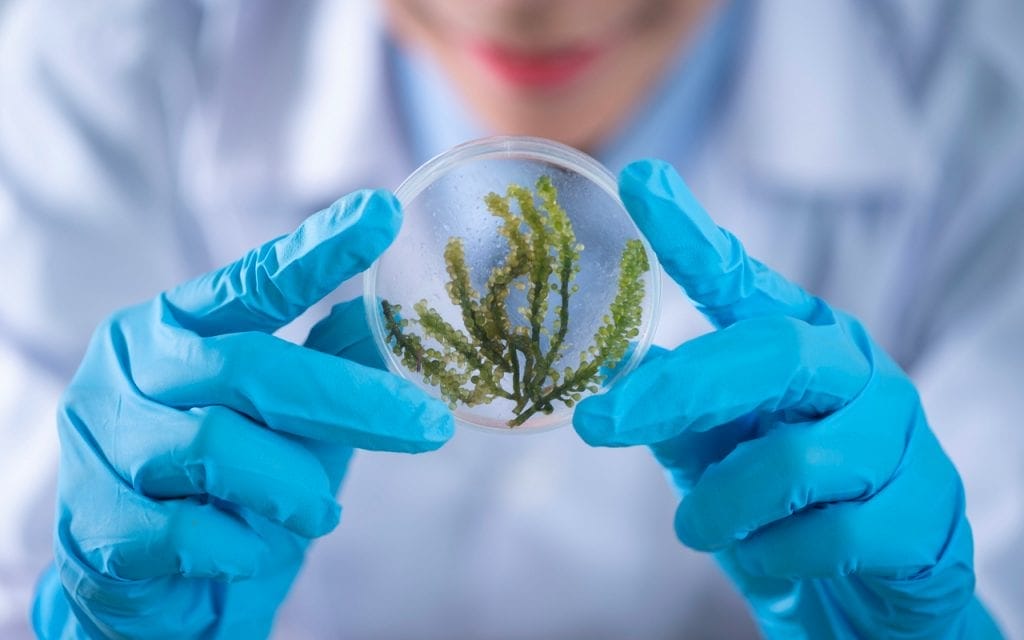 Logical vs Rational Thinking: What’s the Difference?