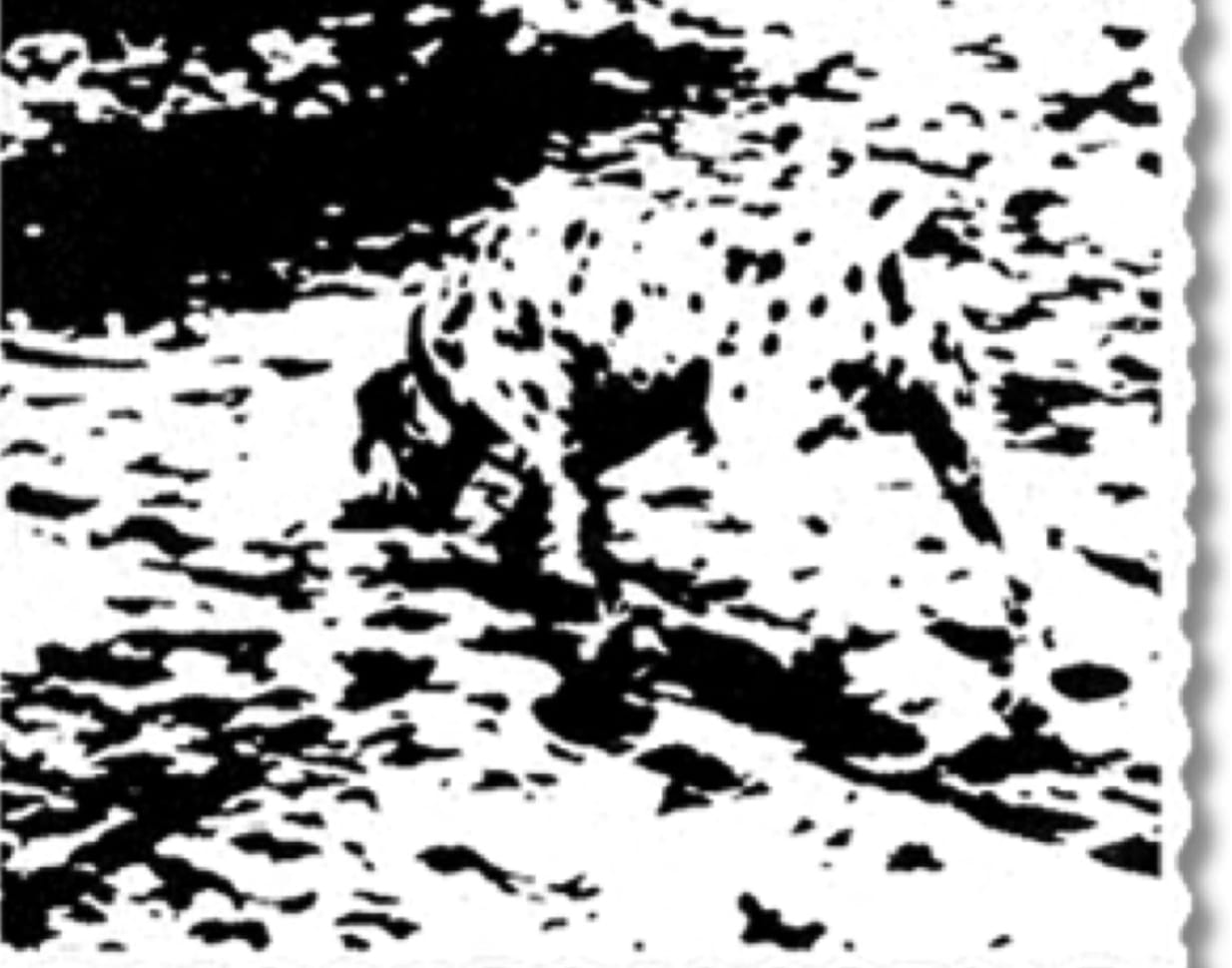 How to Think Analytically at Work, School, Daily Life & Even At Play