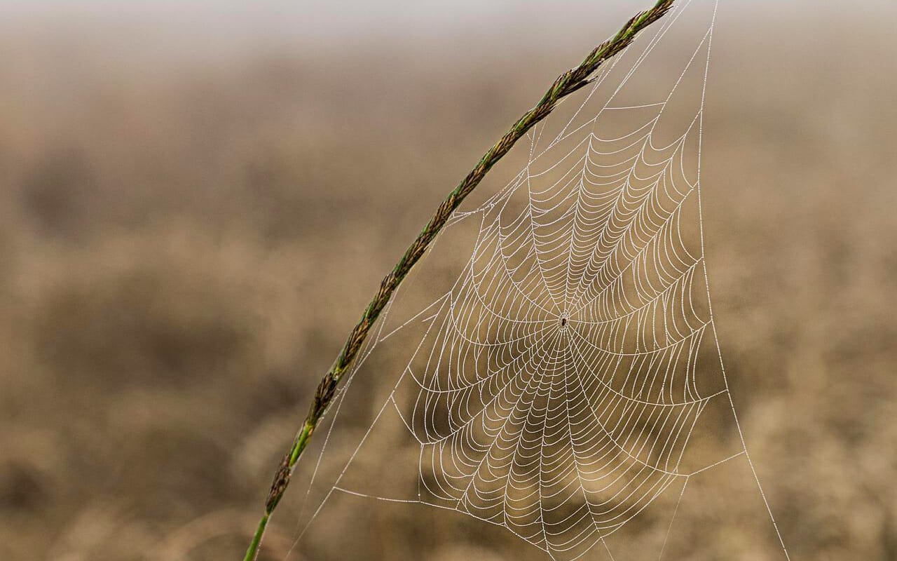 11 Brain Warm Up Exercises That Actually Work