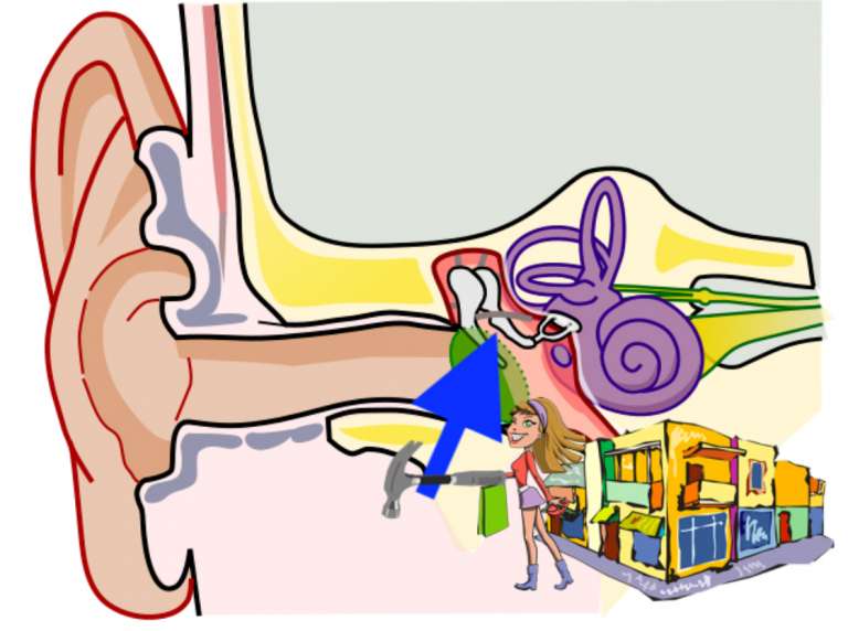 Anatomy Mnemonics That Make Memorizing Easy