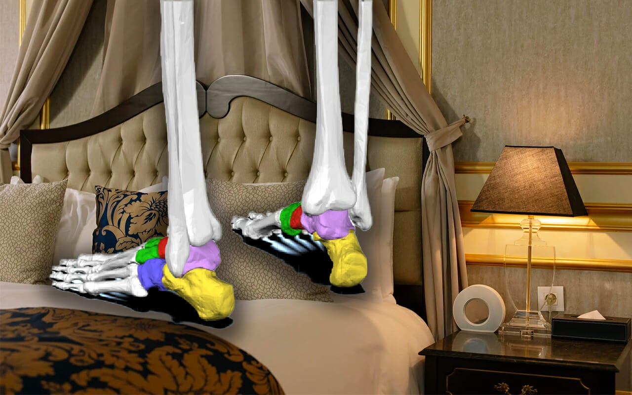 Mnemonic for Tarsals: How to Remember the Tarsal Bones Quickly