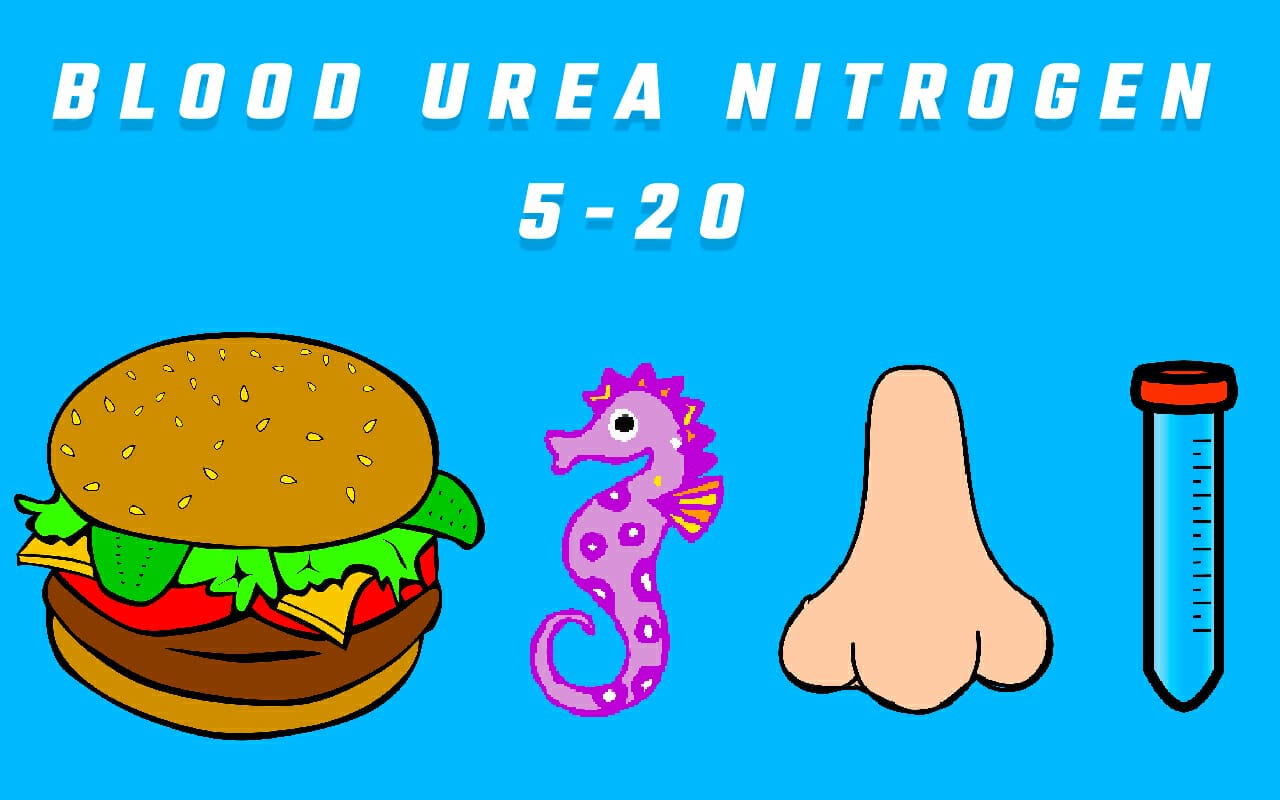 How to Remember Lab Values With These Simple Mnemonics