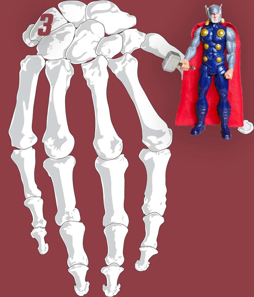 How to Remember Carpal Bones With These 8 Fun Mnemonics