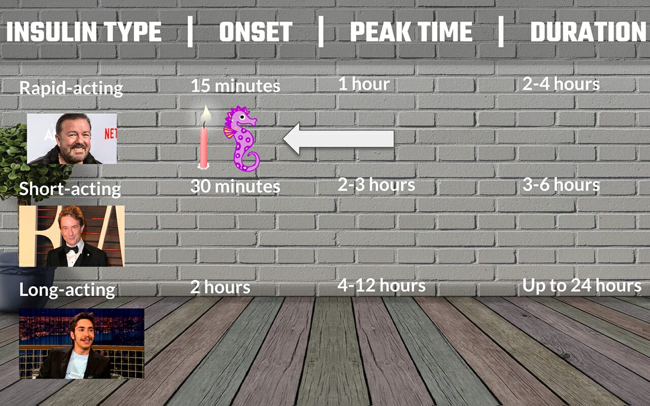 How to Remember Insulins: 4 Fun And Easy Mnemonic Examples