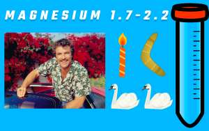 How to Remember Magnesium Levels and Other Lab Values Easily